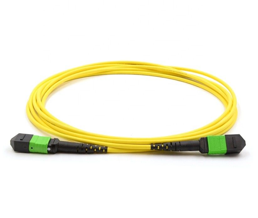 MPO / MTP Fiber Optic Jumper Cables Single Mode G657A G652D Multi Mode ...