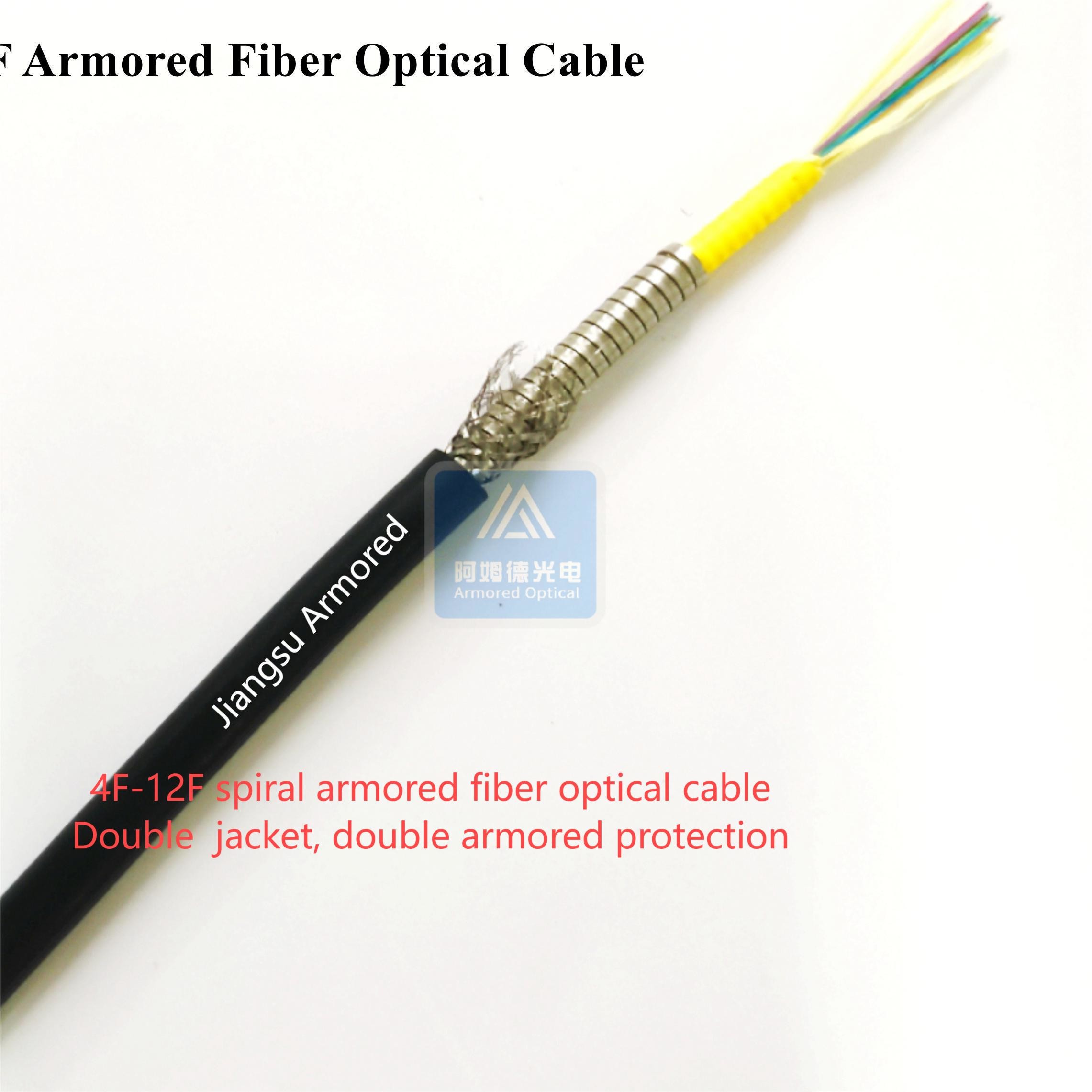 12 Core Armored Fiber Optical Cable 5.0mm SM LSZH Double Jacket FTTH